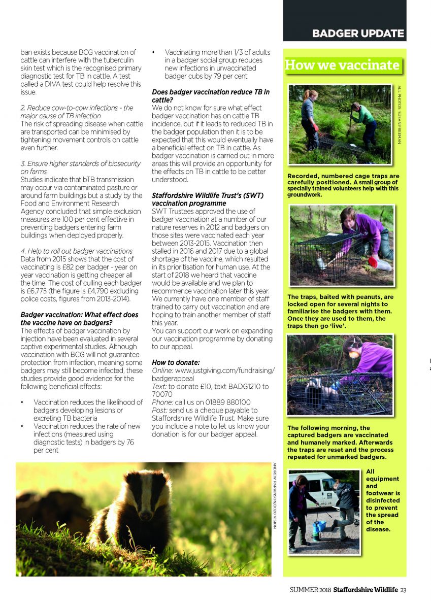 The badger Cull and bTB | Staffordshire Wildlife Trust