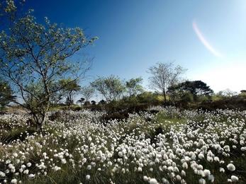 Ipstones Edge | Staffordshire Wildlife Trust