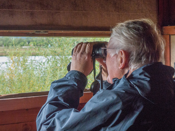 Doxey Marshes | Staffordshire Wildlife Trust