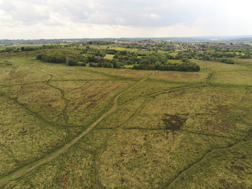 Wetley Moor Common | Staffordshire Wildlife Trust