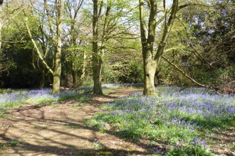 Our must See Nature Reserves | Staffordshire Wildlife Trust
