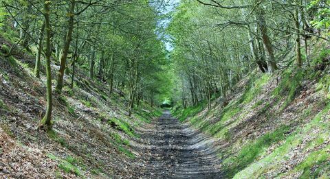 Biddulph Valley Way and Whitemore Nature Reserve | Staffordshire ...