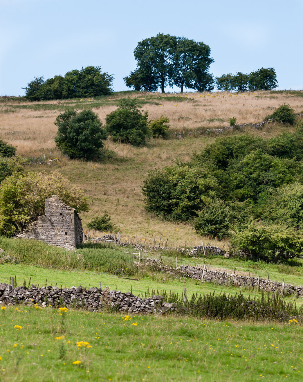 Weag's Barn | Staffordshire Wildlife Trust