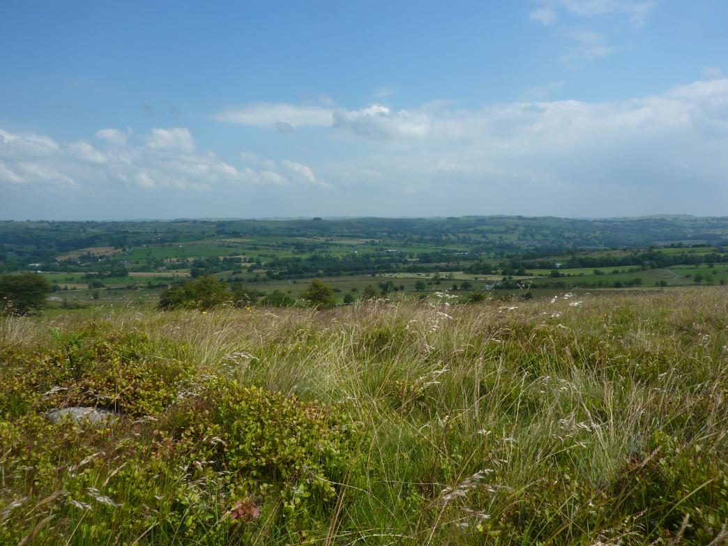 Ipstones Edge | Staffordshire Wildlife Trust