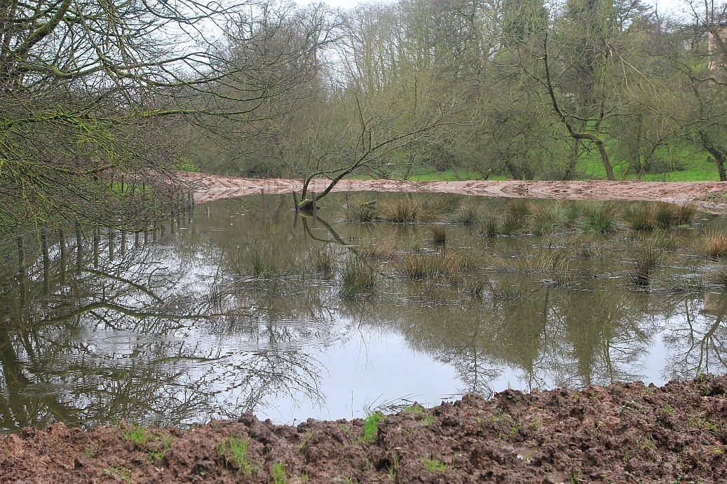 Natural Flood Management | Staffordshire Wildlife Trust