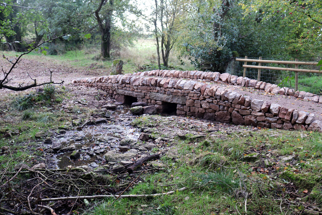 Wilder River Churnet delivering benefits for wildlife and people ...