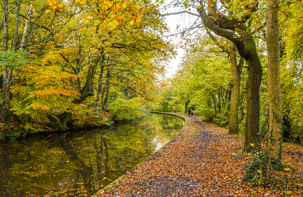 Transforming the Trent Valley | Staffordshire Wildlife Trust