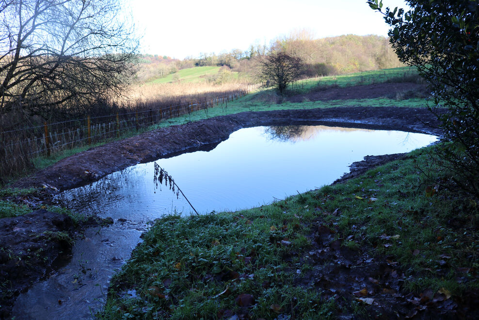 Wilder River Churnet delivering benefits for wildlife and people ...