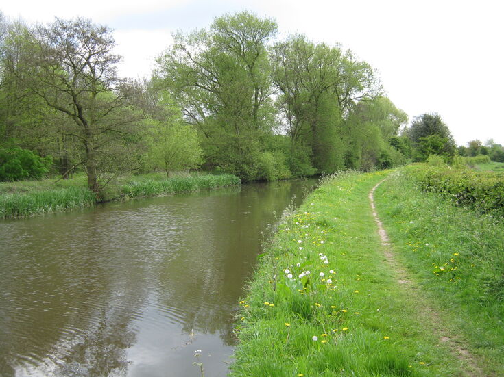 Radford Meadows | Staffordshire Wildlife Trust