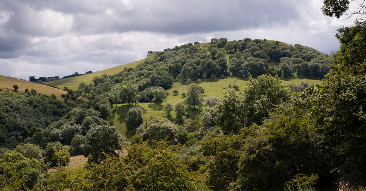 Weag's Barn | Staffordshire Wildlife Trust