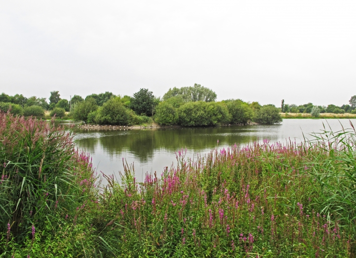 Croxall Lakes | Staffordshire Wildlife Trust