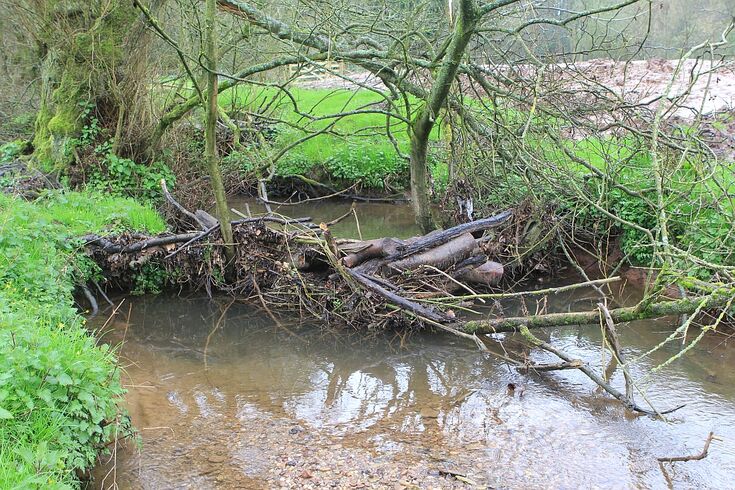 Natural Flood Management | Staffordshire Wildlife Trust