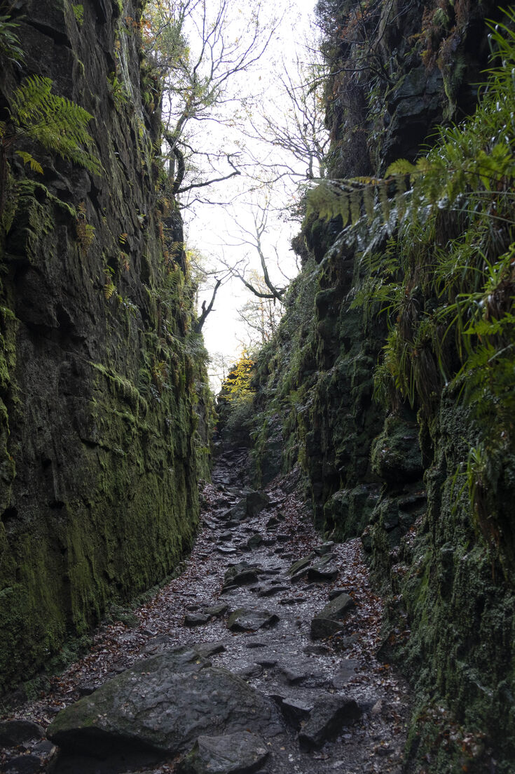 An Autumn ramble to Lud's Church | Staffordshire Wildlife Trust